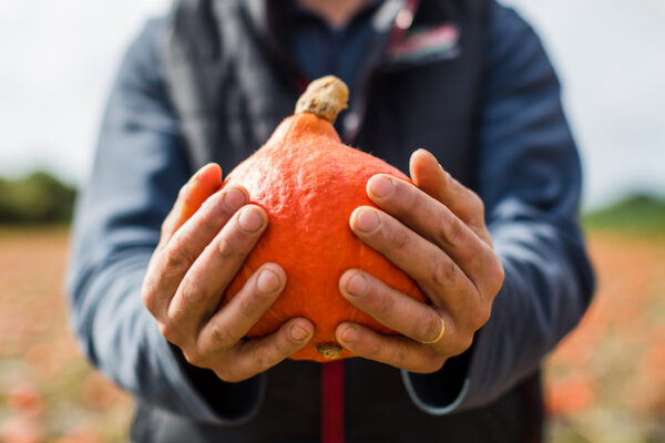 Le potimarron, la courge dont on mange aussi la peau - Kiss My Chef