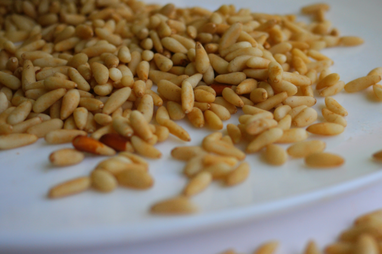 Le pignon de pin, la petite graine tendre et nourrissante - Kiss My Chef