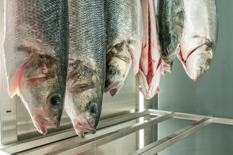 Poissonnerie Viot, la poissonnerie singulière de Paris - Kiss My Chef