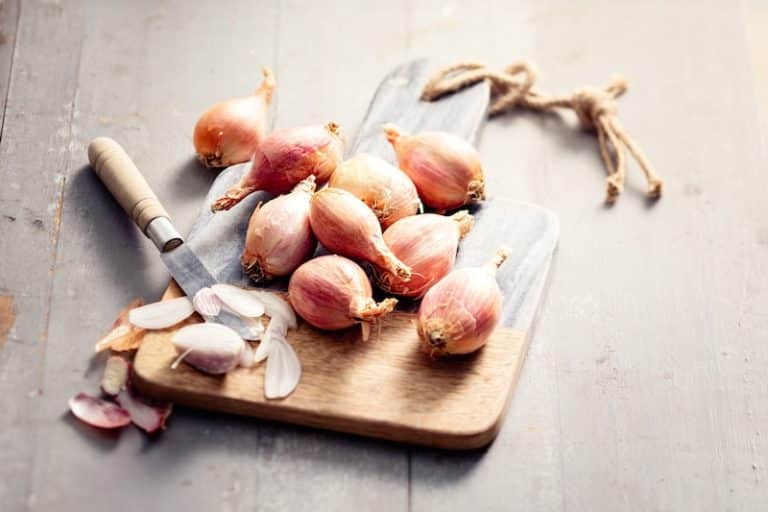 L’échalote, le petit bulbe qui change tout - Kiss My Chef